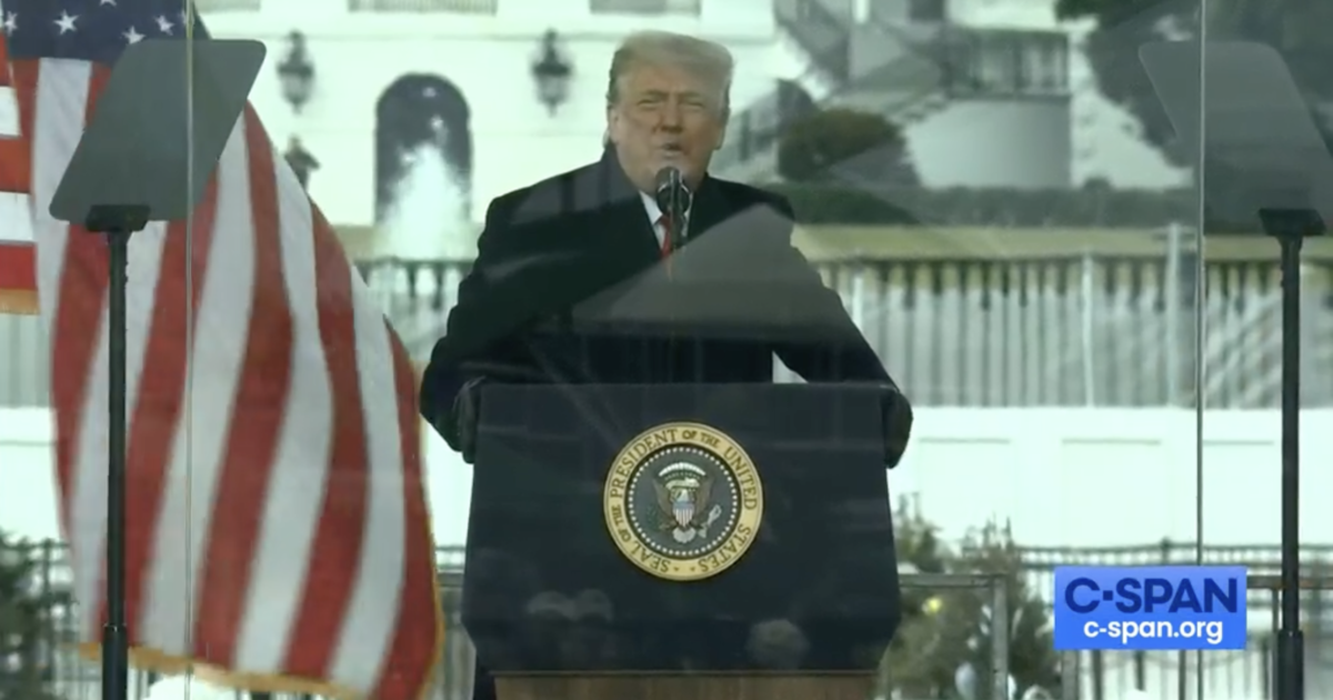 Publix heiress-backed Jan. 6 group spent $180K on rally - CREW ...