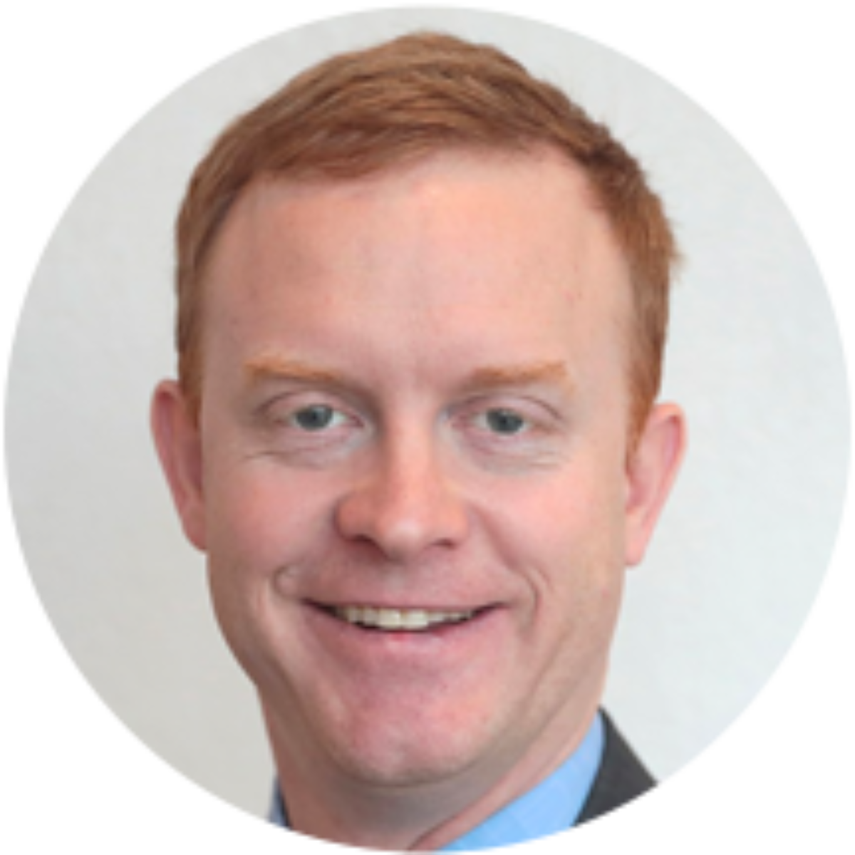 Constitutional Disqualification: The case for investigating federal and ...