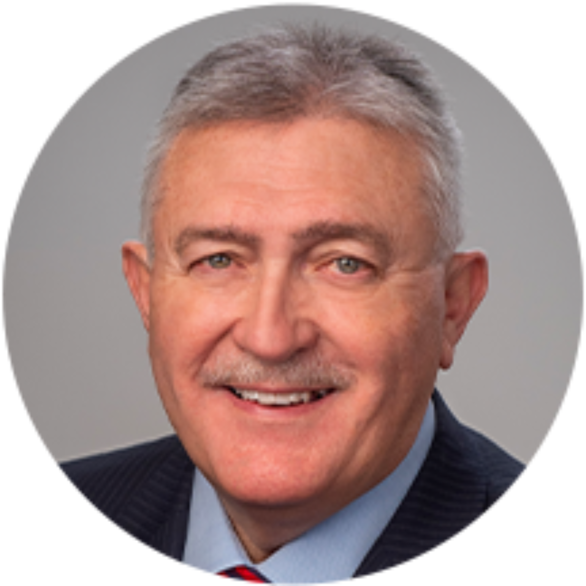 Constitutional Disqualification: The case for investigating federal and ...