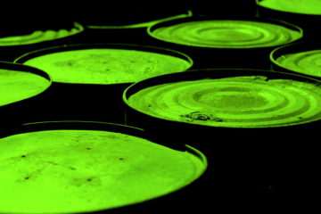 CREW Requests Records on EPA Administrator Nancy Beck’s Conflicts of ...